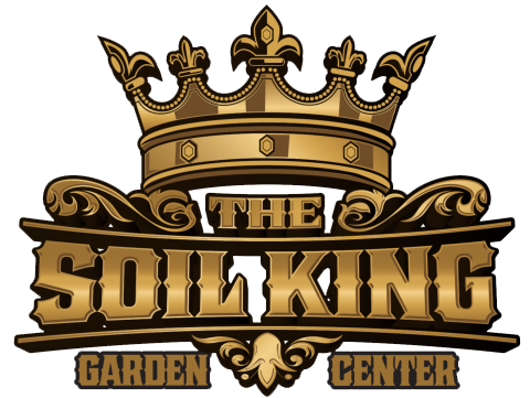 How Do I Keep My Raised Garden Bed From Drying Out? Our Top Tips – The ...